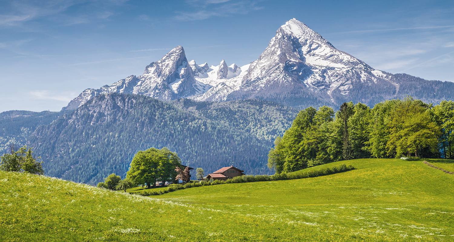 Alpen - Weetabix Food Company